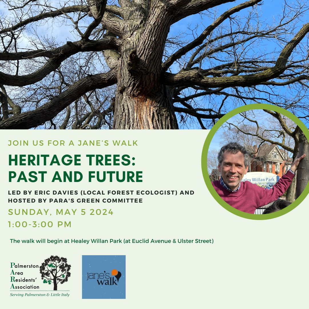 our-heritage-trees-past-and-future