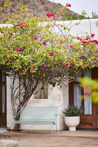 ESTERNO BENCH | TheInsideProject