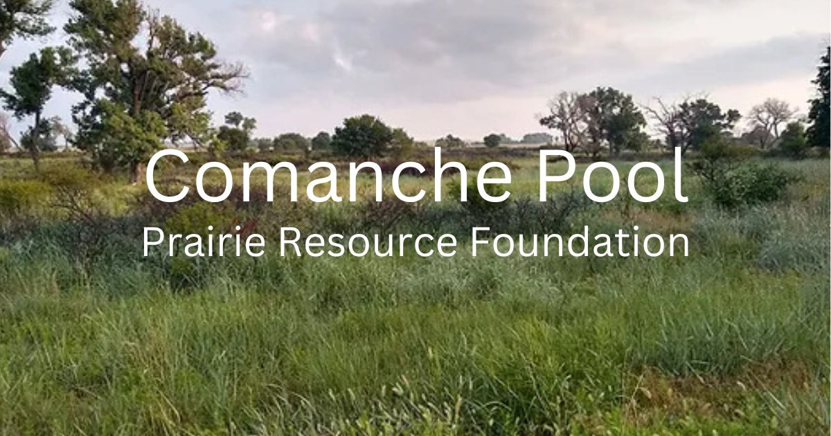 About Comanche Pool | The Comanche Pool