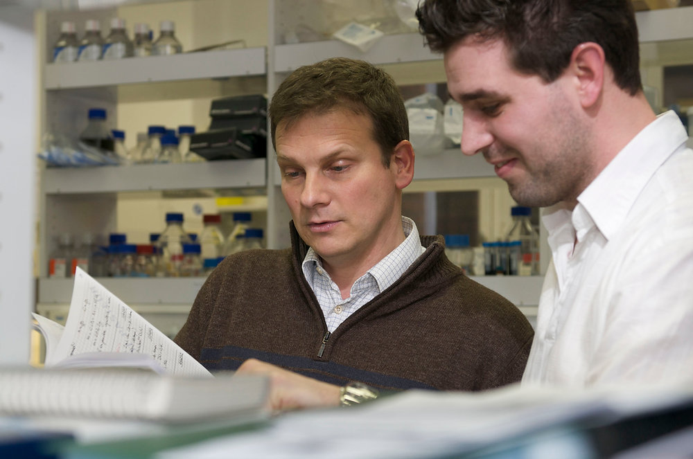 Senior Post-Doc Position - ERC Synergy - Institut Pasteur