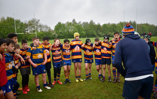 HOME | OLD HALESONIANS RFC