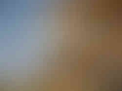 ホーム | Chikae Tatsumi