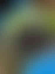 ホーム | Chikae Tatsumi