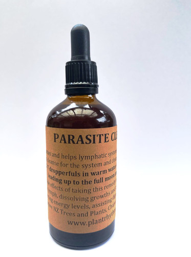 Parasite Cleanse - 100ml | Plantrhythms