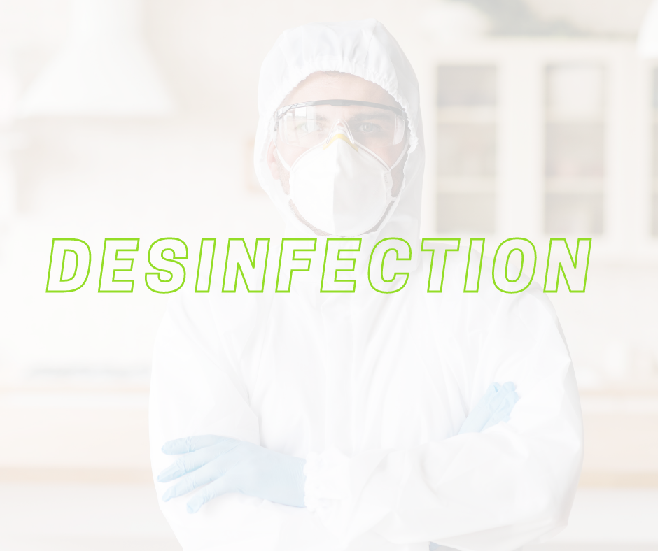 Nettoyage | Polipro | France