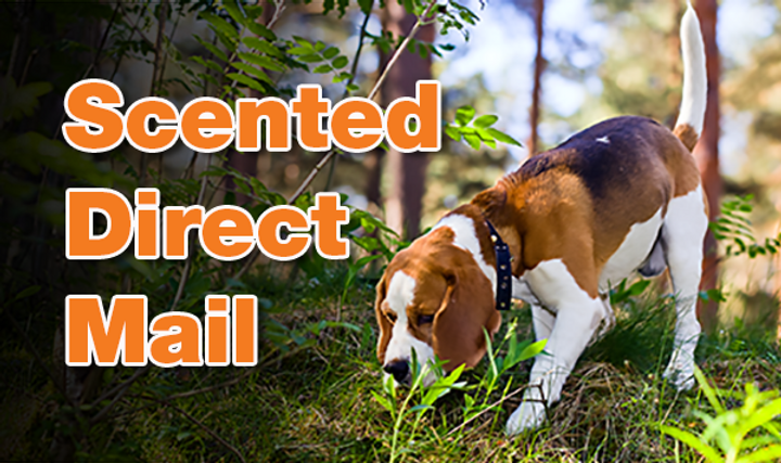How Scented Direct Mail Can Increase Response Rates
