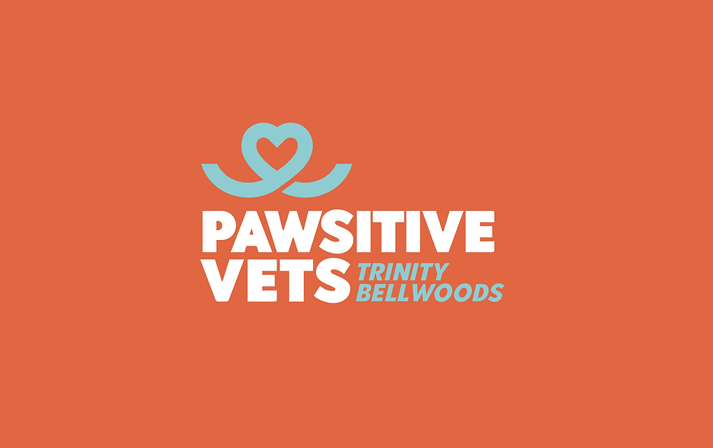 Pawsitive Vets Logo and Brand Identity
