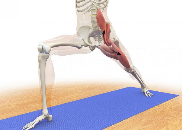 Ileopsoas, conosciamo il muscolo della stabilità