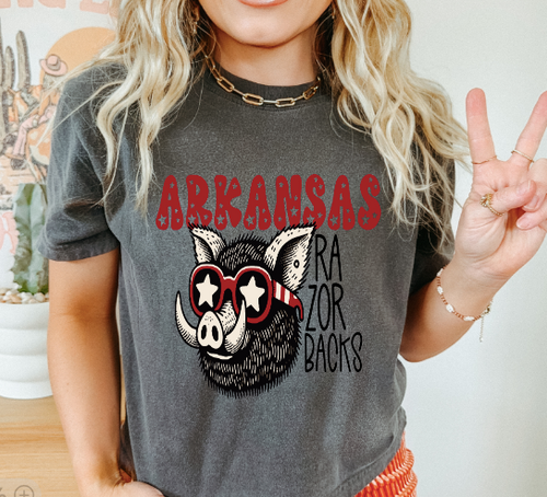 college mascots (DTF Transfer) | Hookful Designs DTF