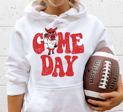 game day arkansas (DTF Transfer) | Hookful Designs DTF