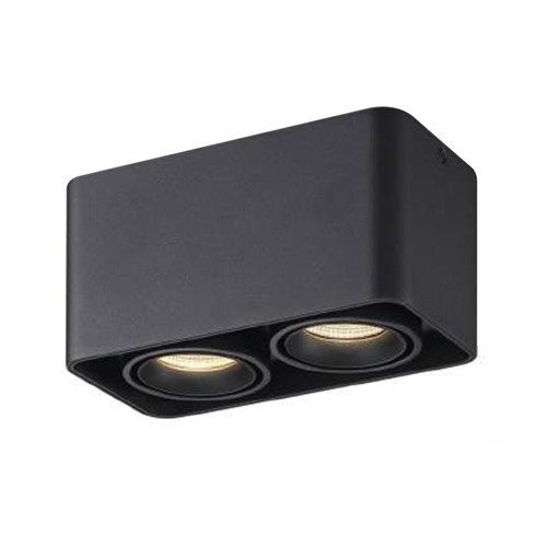 18W Led Adjustable Double SM Light (DL708-2) | Everglow Lighting