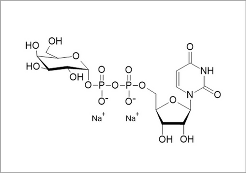 UDP-galactose | Cost-effective nucleotide sugars for your R&D