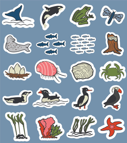 Aquatic Stickers | Kylie Rench Design