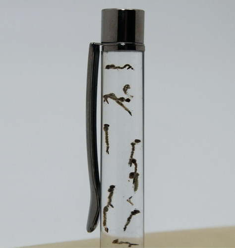 Mosquito Larva Pen $10 Each | Termite Man