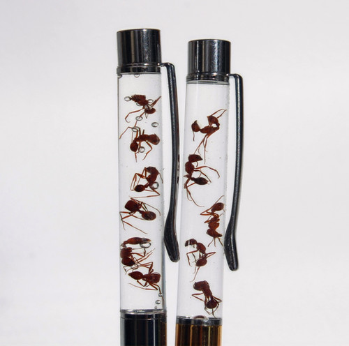 Harvester Ant Pen $10 Each | Termite Man