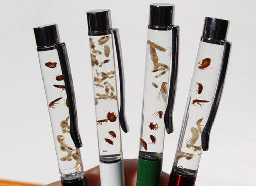 Bed Bug & Termite Pen $10 Each | Termite Man