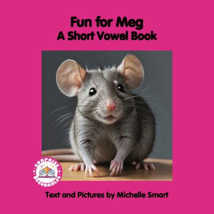 Level 2 Mixed Pack Set A (5 Different Titles) | Surprise Decodables