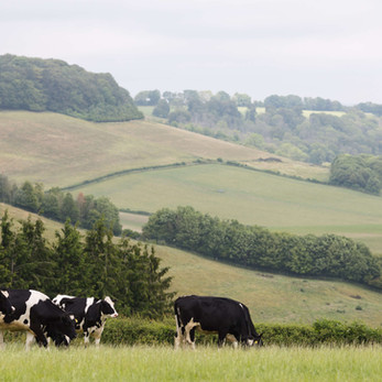 Home | Meon Springs Glamping, Fly Fishing, Corporate Retreats, and Self ...