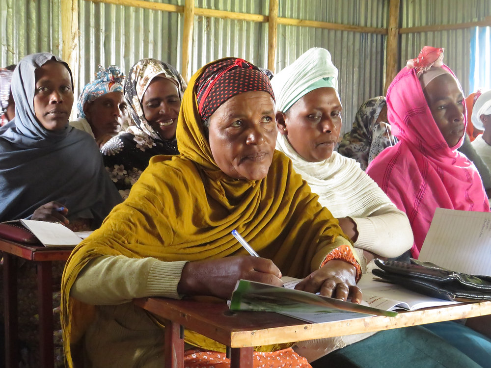 The ALEF method in Ethiopia