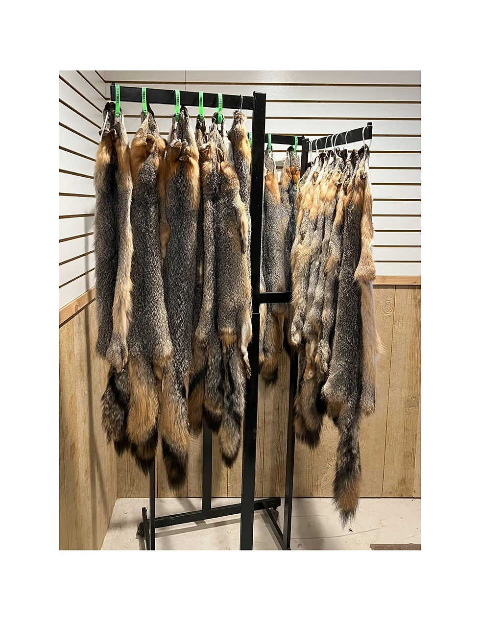 Tanned Fur | Barnes Hide and Fur 2/4