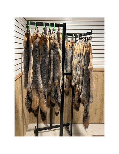 Grey Fox | Barnes Hide and Fur