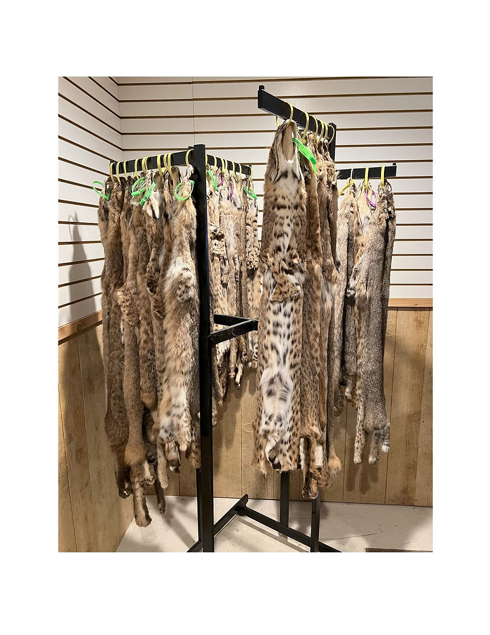 Tanned Fur | Barnes Hide and Fur