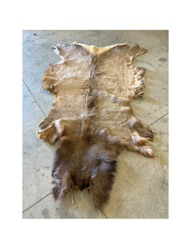 Elk Hide | Barnes Hide and Fur
