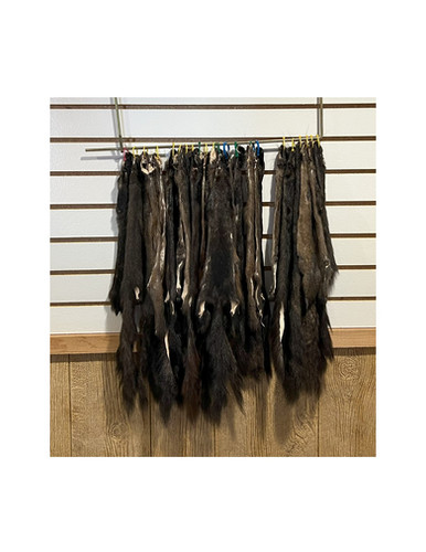 Black Squirrel Fur | Barnes Hide and Fur