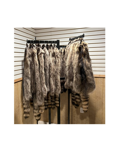 Raccoon | Barnes Hide and Fur