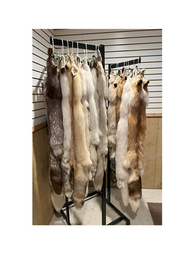 Ranch Fox (Deposit) | Barnes Hide and Fur