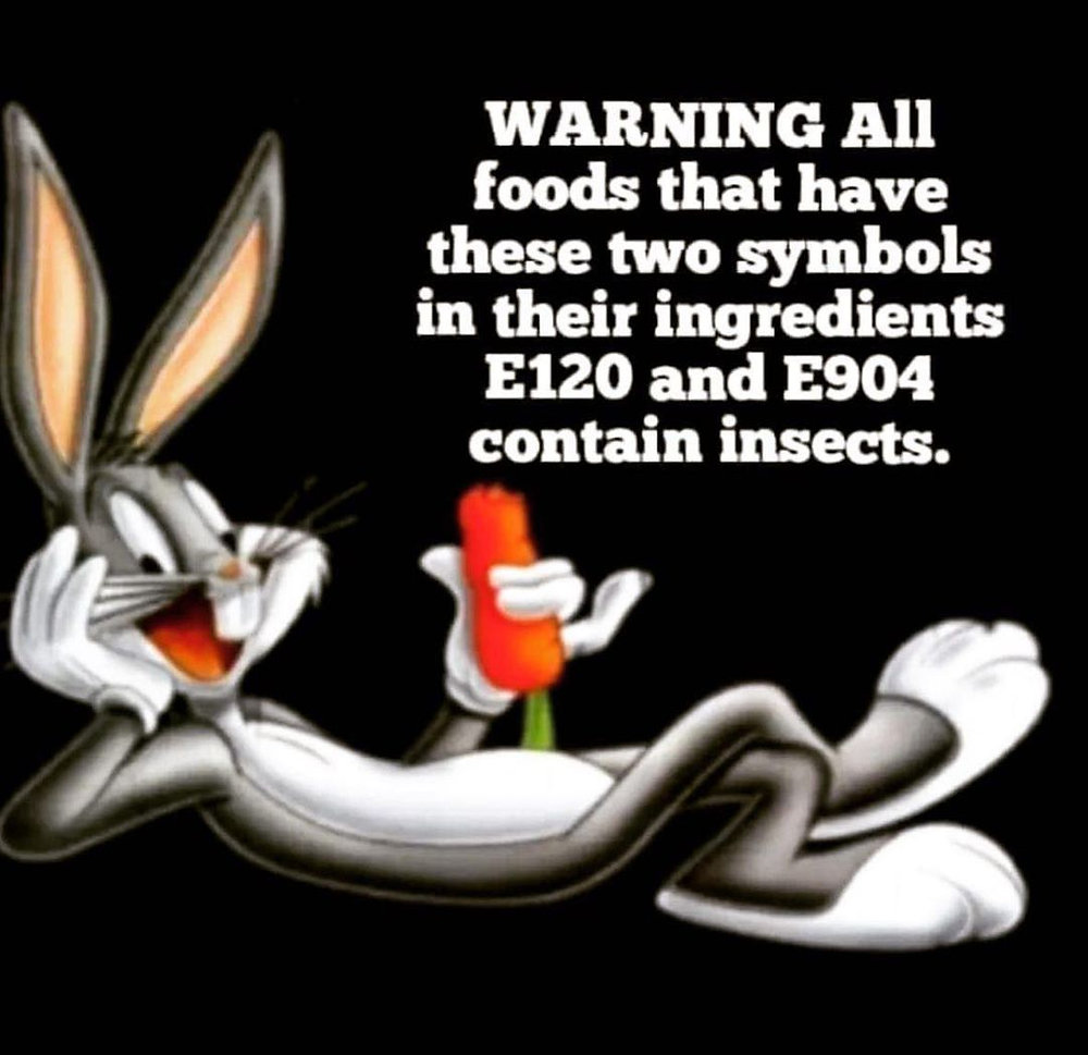 E120 and E904 are food additives that have a connection to insects: