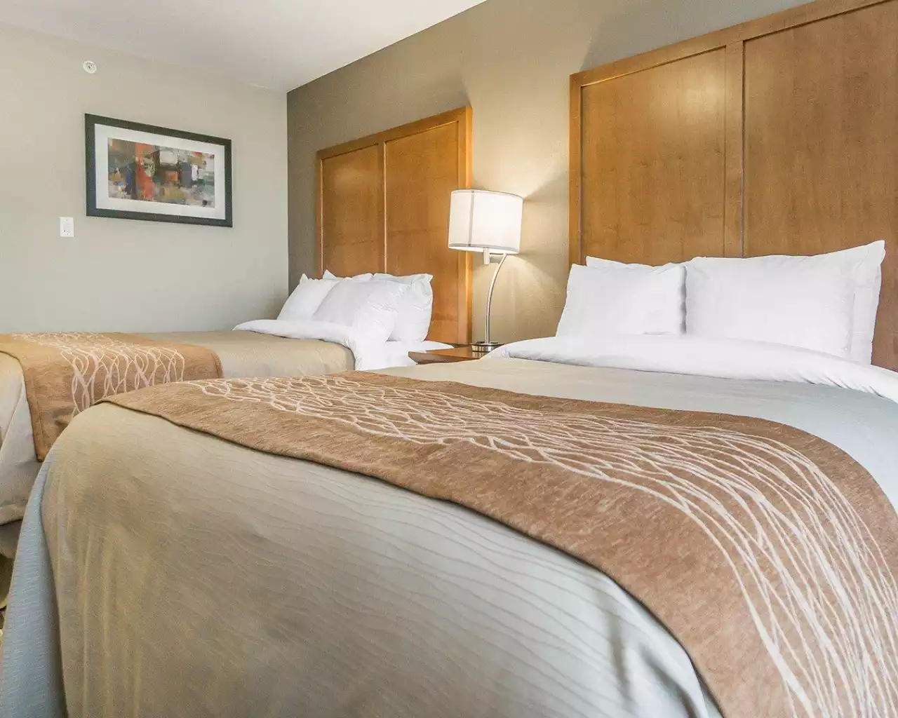 Comfort Inn & Suites | Rooms