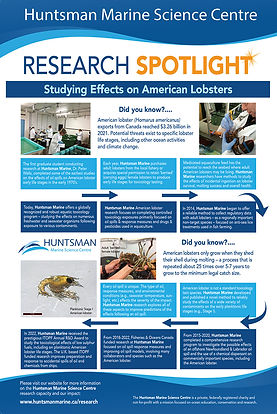 lobster science