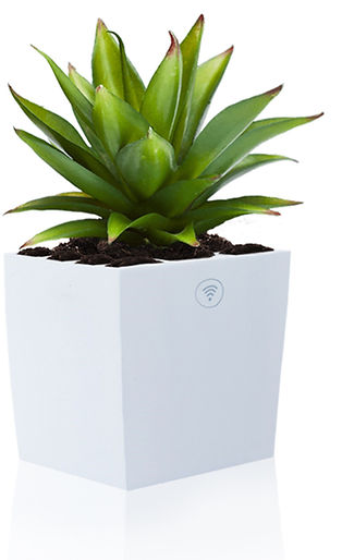 Bioo | Official Site