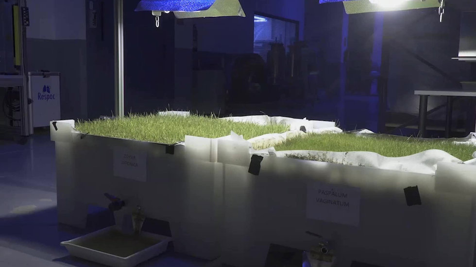 Bioo | Official Site