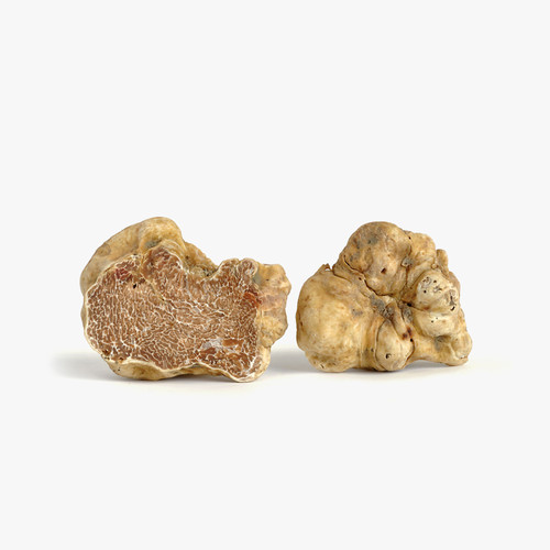 Fresh Alba White Truffle (Tuber Magnatum Pico) - 0.5oz SMALL SIZE ...