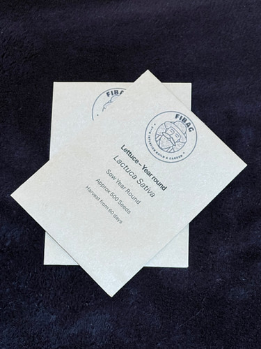 Lettuce - Year round | Fibag