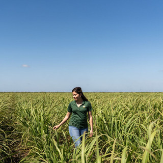 Our Farmers | Raisin' Cane Tours