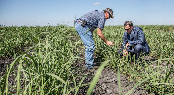Our Farmers | Raisin' Cane Tours
