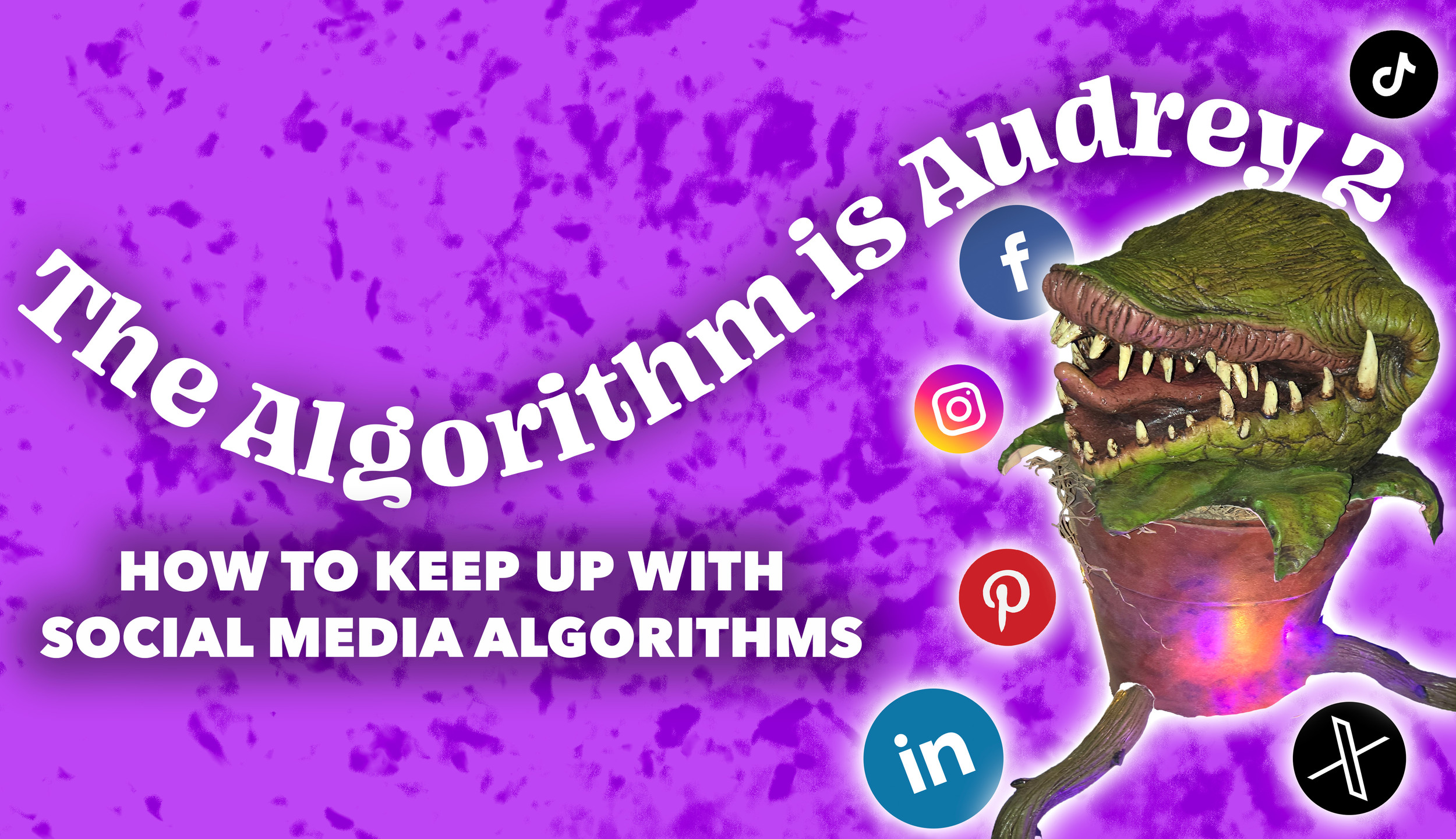 The Algorithm is Audrey 2: How to Keep Up with Social Media Algorithms