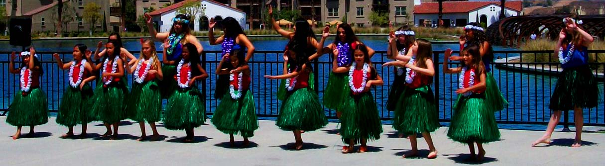 Hula Lessons | polynesian