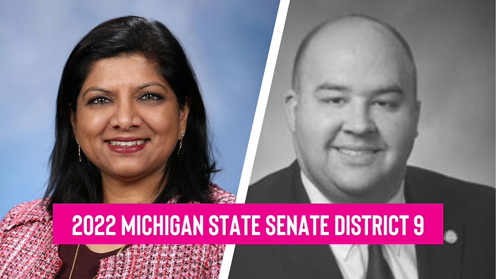 2022 Michigan State Senate 9th District Race