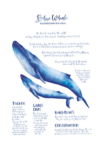 BLUE WHALE POSTER | mysite