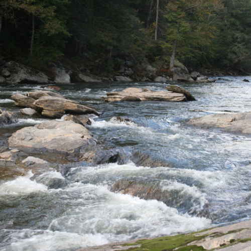 Discover Top U.S. River Trips: Navigating Multi-Day Expeditions