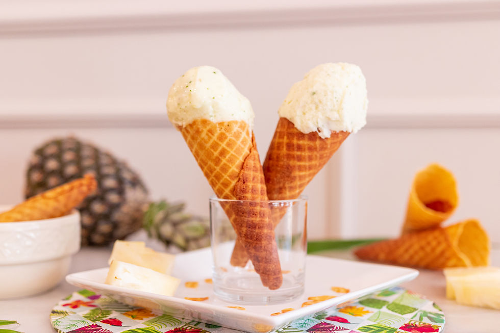 Franquia | Puro Gelato