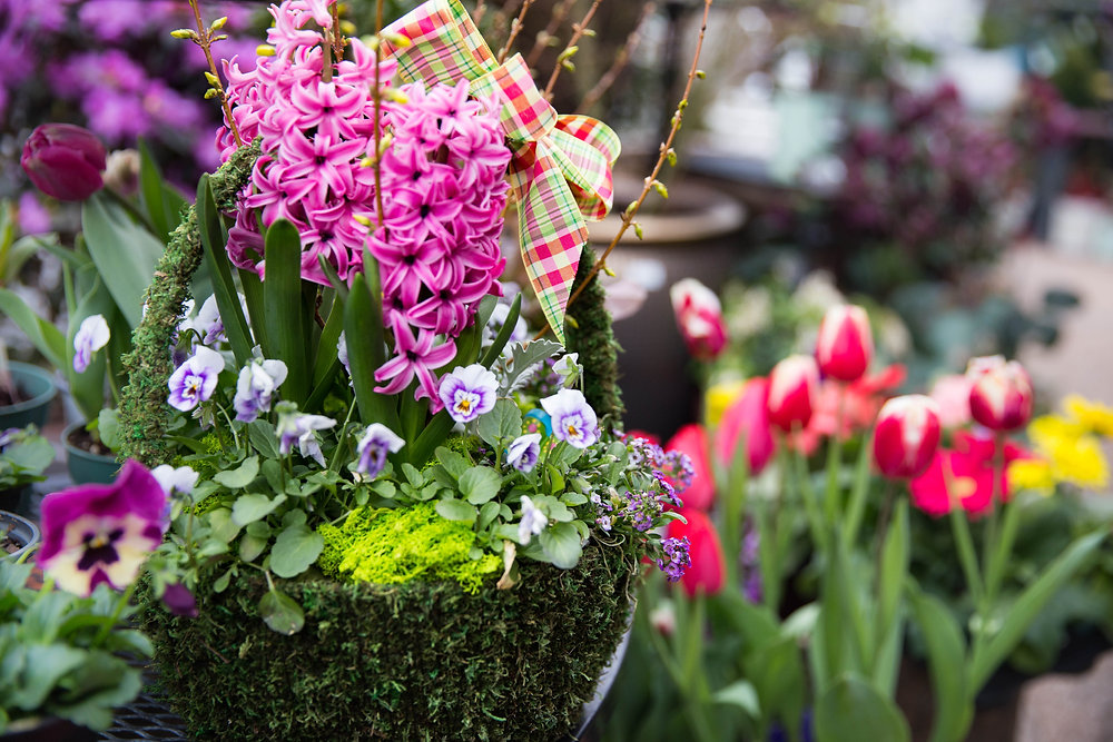 10 Tips for Creating a Colorful Spring Container