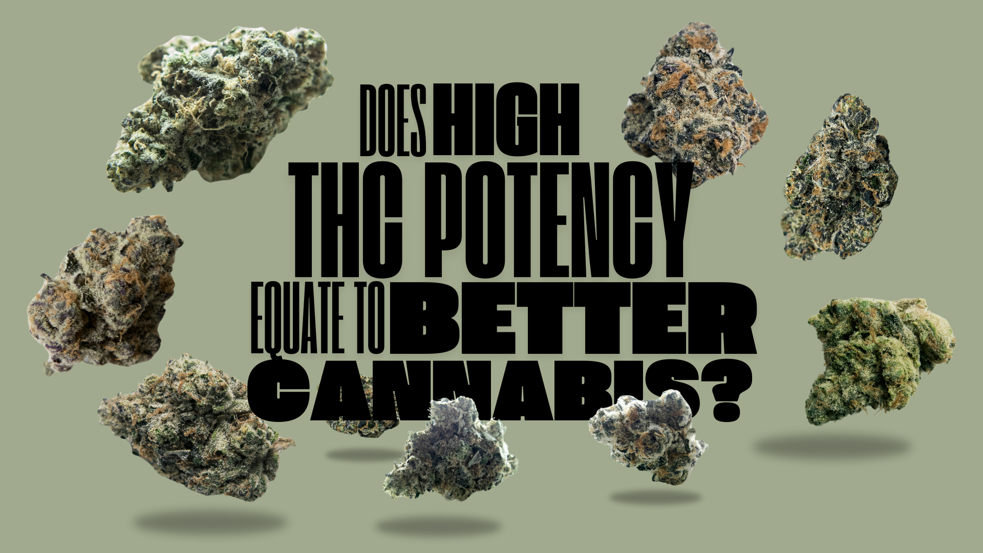 Does HIGH THC Equate To Better Cannabis?