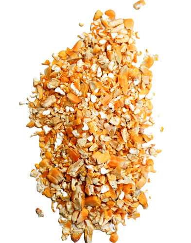 Kibbled Maize 20kg Bag | Litchfields Grain