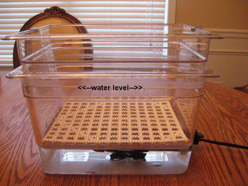 DIY a water-heated brooder for baby or sick birds in 12 easy steps