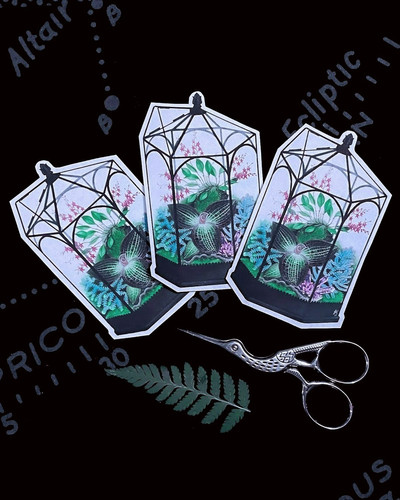 Imaginarium paper stickers | Jasmonic